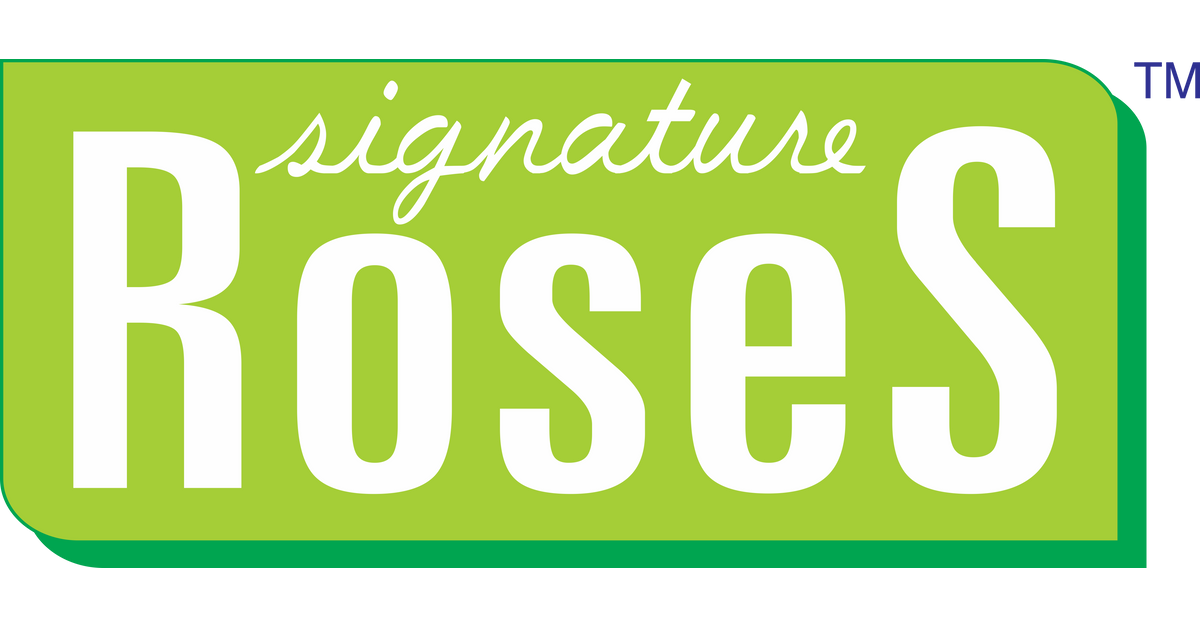 Signature Roses | Eco friendly gifting with a difference – V 8 Store